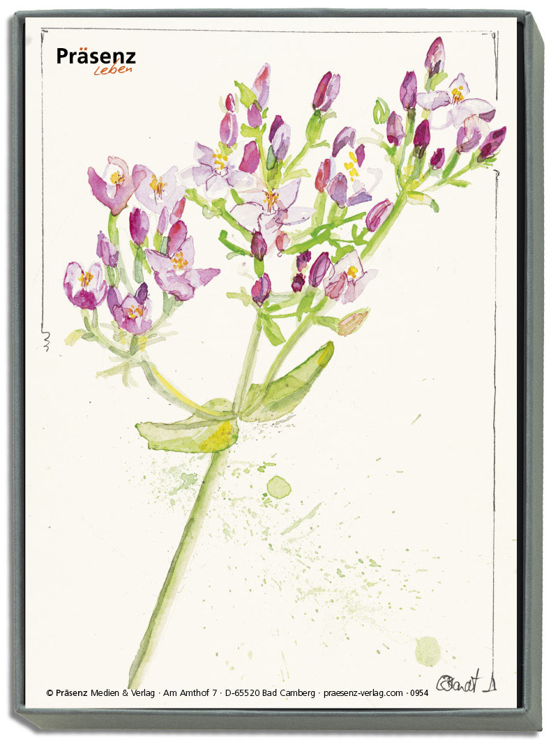 Präsenz Medien & Verlag | Shop